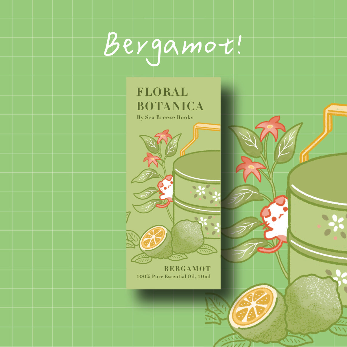 Sea Breeze Exclusive: Flora Botanica Pure Essential Oil (10ml) | 海風獨家 ...